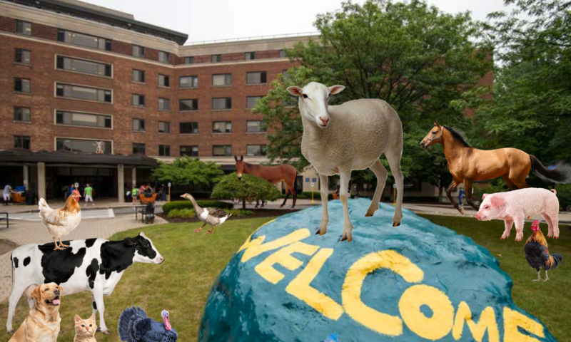 Freshman Class To Include Farm Animals - Campus Times