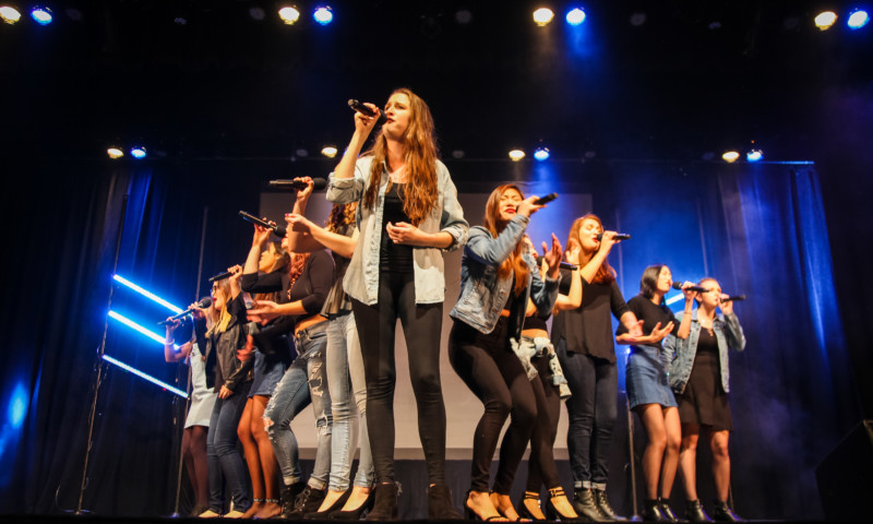 Vocal Point creates magic with 'A Very Potter Show' - Campus Times