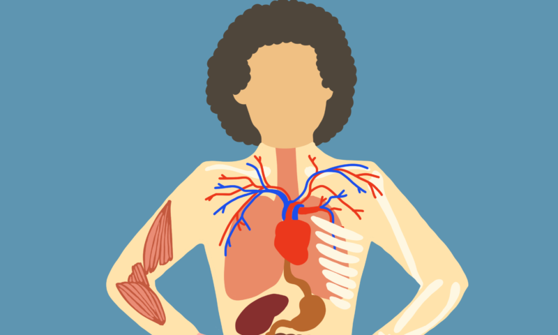 Slim Goodbody Doctor