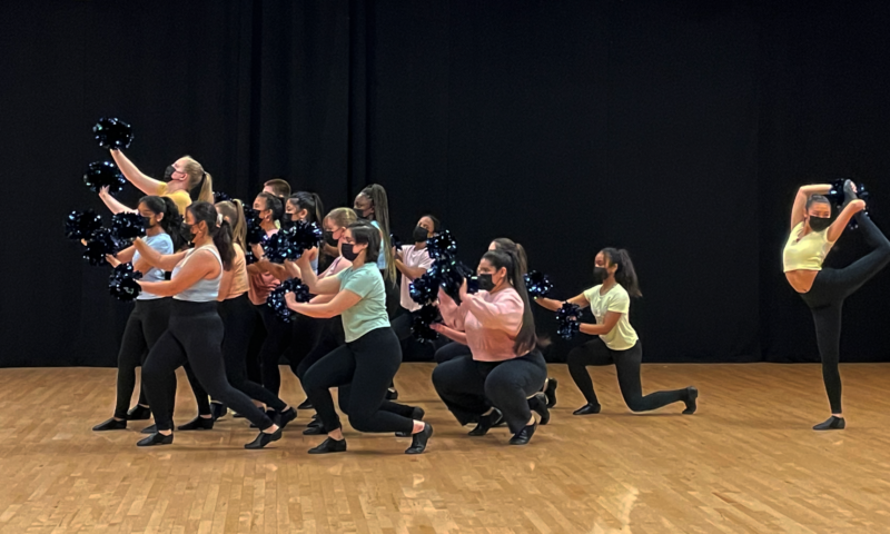Royals Dance Team Mosaic spring show - Campus Times