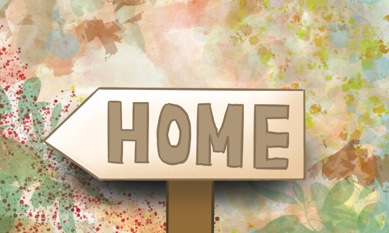 On going home - Campus Times