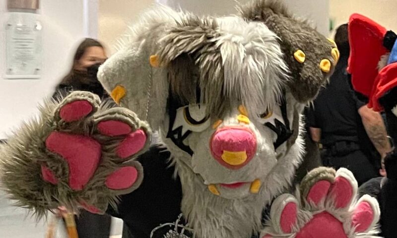 Furries on UR campus? - Campus Times