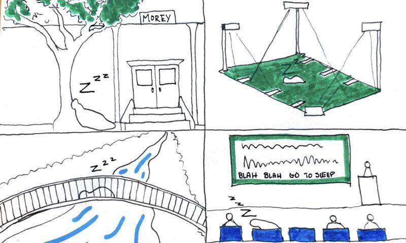 Top 5 Campus Napping Spots - Campus Times